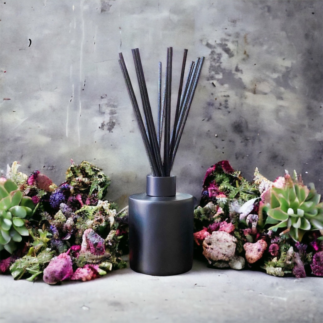 Home Reed Diffusers – Stella's Figs